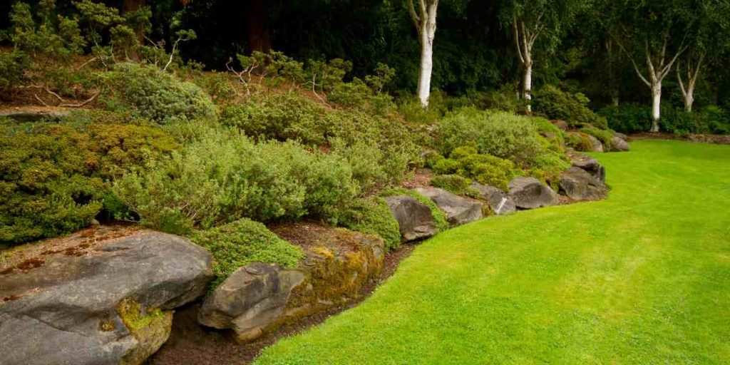 10 Essential Tips for a Lush and Beautiful Lawn | Impact Landscapes LLC